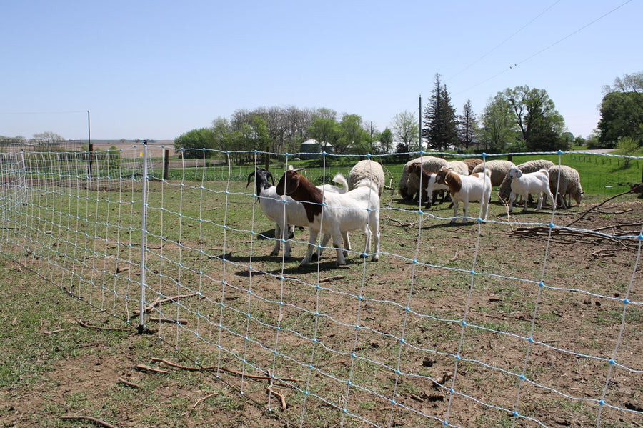 Starkline: Ultimate Utility Fence Kit – Starkline.com